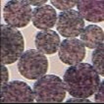 China Agarose NHS Magbeads Preactivated N-Hydroxy Succinimide Nanoparticles 10-30 μm with 20% Ethanol Solution for sale