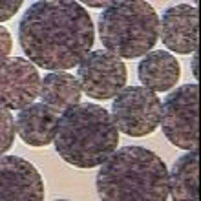 China Agarose NHS Magnetic Beads Preactivated N-Hydroxy Succinimide Nanoparticle 10-30 μm with 20% Ethanol Solution for sale