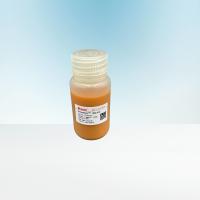 China 50 mL 1 μm Magnetic Beads with Oligo dT - 500 pmol/mg Density, 1-2 μg/mg mRNA Binding Capacity for Molecular Biology for sale