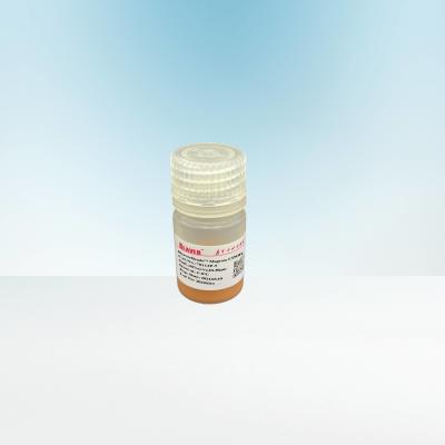 China Agarose Carboxyl Magbeads 10-30 μm for Protein Purification | 20% Volume Ratio | 1000 μmol/ml COOH Content for sale