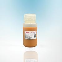 China 50ml Protein Purification Magnetic Agarose Beads 10-30μm Size 20% Volume Ratio with High Carboxyl Content for sale