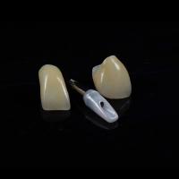 China ODM Full Arch Zirconia Implants Bridge Zirconium Implants Holistic Dentistry for sale
