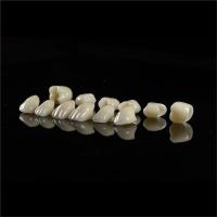 China Full Coutour Arch Zirconia Fixed Dentures Crown Biocompatible Material for sale