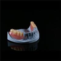 China Comfortable Partial Valplast Flexible Dentures Nylon Material for sale
