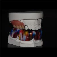 China BPA Free Dentist Sport Mouth Guards Medical Grade Materials for sale