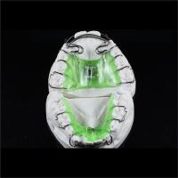 China Mouth Orthodontic Expanders Adults Plate For Dental Alignment for sale