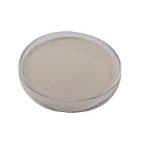 China 20000U White Alpha Amylase Powder Cas 9000 90 2 For Premix -Heat Stable Alpha Amylase for sale