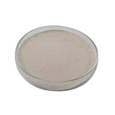 China 20000U White Alpha Amylase Powder Cas 9000 90 2 For Premix -Heat Stable Alpha Amylase for sale