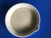 China Cas 9025 57 4 Protease Digestive Enzyme 80 Mesh Protease In Food Industry for sale