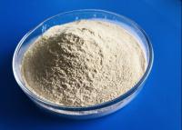 China OEM Industrial Grade Protease Enzyme Cas 9025 57 4 Powder Granule Liquid for sale