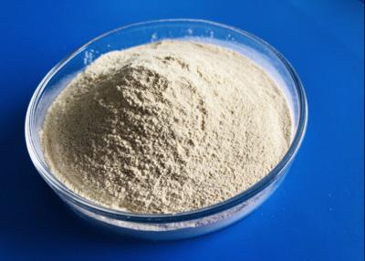 China OEM Industrial Grade Protease Enzyme Cas 9025 57 4 Powder Granule Liquid for sale