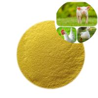 China Poultry Nutrition GOD Glucose Oxidase Enzyme Powder Feed Additives for sale