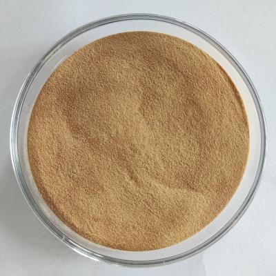 China Habio Alpha Amylase Powder Thermo Stable Bacterial Amylase Feed Grade Enzyme for sale