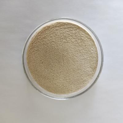 China Habio Acid Protease Powder High Efficiency Acid Proteolytic Enzyme 100,000U/G for sale
