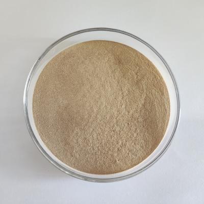 China Habio Neutral Protease Powder High Efficiency Neutral Proteolytic Enzyme 100,000U/G for sale