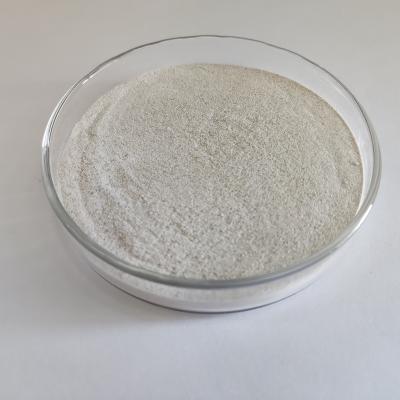China Habio Catalase Watersoluble Powder / Liquid Leading Top Quality Enzyme for sale