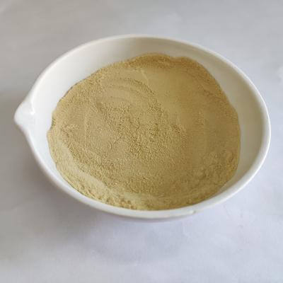 China Fungal Alpha-Amylase Food Grade Enzyme For Baking, Starch Sugar, Alcohol And Brewing Industry for sale