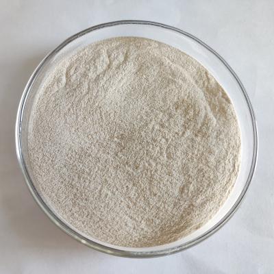 China Enzyme Feed Additives Lipase White Powder 50,000-200,000 Improve Animal Production for sale