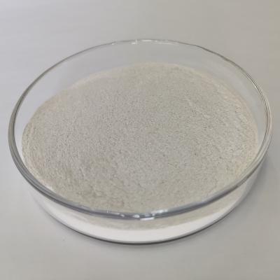China Habio Alkaline Protease 200,000~1,000,000u/G Bio Enzyme Powder For Detergents for sale