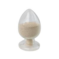 China Feed Grade Catalase: High-Performance Enzyme for Livestock Health for sale