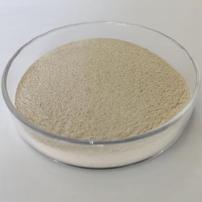 China High Efficiency Habio Acid Protease Acid Proteolytic Enzyme 100,000U/G Digestive Enzyme Powder for sale