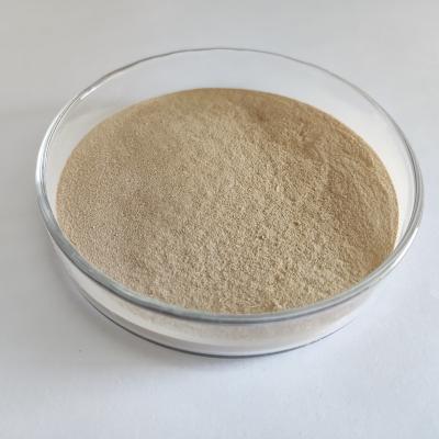 China High Efficiency Habio Neutral Protease Digestive Proteolytic Enzyme Powder/Granule 100,000u/G for sale