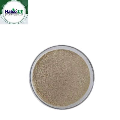 China Animal Feed Additive Acid Protease Powder 100,000U/g for sale