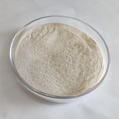 China Factory Supply Feed Grade Lipase Enzyme for Animal Feed Feedstuff Premix Additive for sale
