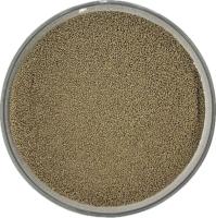 China Feed Grade Protease Enzyme for Animal Nutrition and Protein Digestibility | Protezyme-BP100 Granule for sale