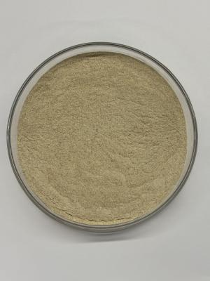 China BP100 Powder Animal Feed Protease Enzyme for Improved Protein Digestibility and Gut Health for sale