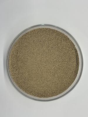 China High-Stability Feed Protease Enzyme for Protein Utilization and Amino Acid Digestibility | BP100 for sale