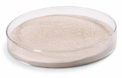 China High-Activity Acid Protease Enzyme for Low-pH Protein Hydrolysis | Habio Acid Protease for sale