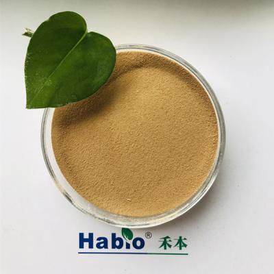 China BP 100 Protease Enzyme with High Thermostability Improve Protein Utilization in Animal Feed for sale