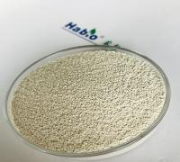 China Habio Xylan-degrading Enzyme for animal diagestion improvement Combinatorial Xylanase Straw Yellow Granule for sale