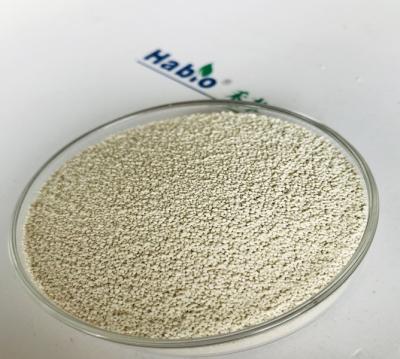 China Habio Xylan-degrading Enzyme for animal diagestion improvement Combinatorial Xylanase Straw Yellow Granule for sale
