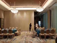 China Site Inspection Available German Operable Partition Technology Acoustic Partition Wall for sale