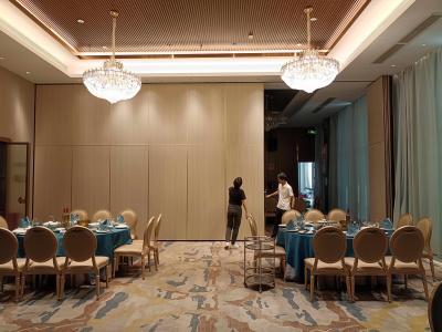 China Site Inspection Available German Operable Partition Technology Acoustic Partition Wall for sale