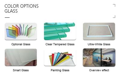 China Top Supported Modern Aesthetics Office Glass Partition Wall with Space Optimization for sale