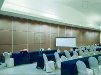 China Industrial-Grade Movable Partition Wall with Cost-Effective Full Customization for Multi-Use Areas for sale