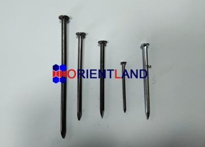 China Electric Galvanized Common Nails 1-6 Inch Length with Q195/Q235 Steel in Smooth/Screw/Ring Shank Types for sale