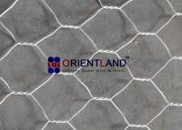 China Double Twisted Hexagonal Gabion Wall Baskets 100×120mm Mesh 2.0-3.9mm Wire for sale