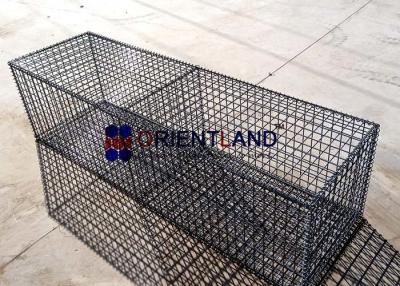 China PVC Coated Welded Gabion Wire Mesh 4mm 5x5cm for Landscaping Accent Walls Room Dividers for sale