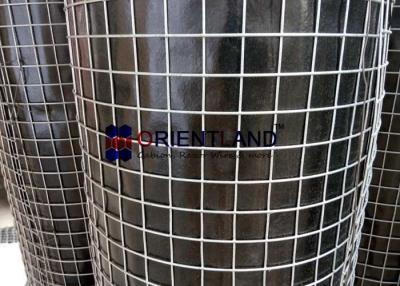 China Stainless Steel Welded Wire Mesh 1x1 Inch Square Pattern with 30m Roll Length and 0.5-1.8m Width Options for sale