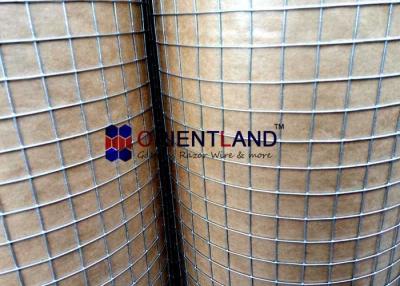 China 1/2 Inch x 1/2 Inch Galvanized Welded Wire Mesh Rolls - Acid Resistant Construction Mesh 0.5m-2.0m Width for sale