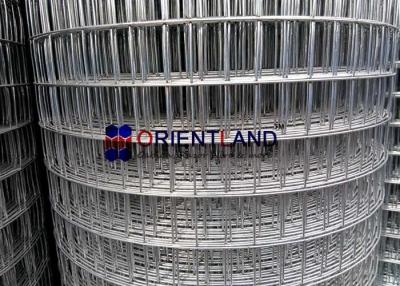 China 1 Inch x 1 Inch 12 Gauge Welded Wire Mesh Roll 0.5-2.0m Width Galvanized Steel Fabric for sale