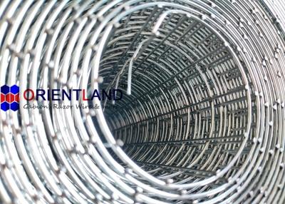 China 18 Gauge GI Welded Wire Mesh 1/2