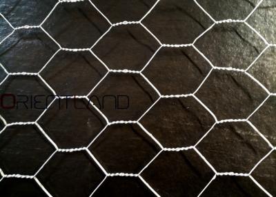 China Hot Dipped Galvanized Hexagonal Wire Mesh 1/2