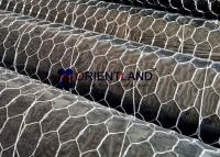 China Galvanized Steel Poultry Mesh Netting 1-500m Rolls with 1/2