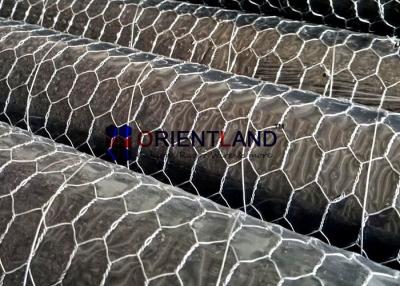 China Galvanized Steel Poultry Mesh Netting 1-500m Rolls with 1/2
