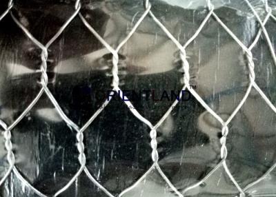 China 20G Galvanized Hexagonal Poultry Netting 36 Inches x 150 Feet - Fox Proof Chicken Wire with Multiple Mesh Sizes for sale